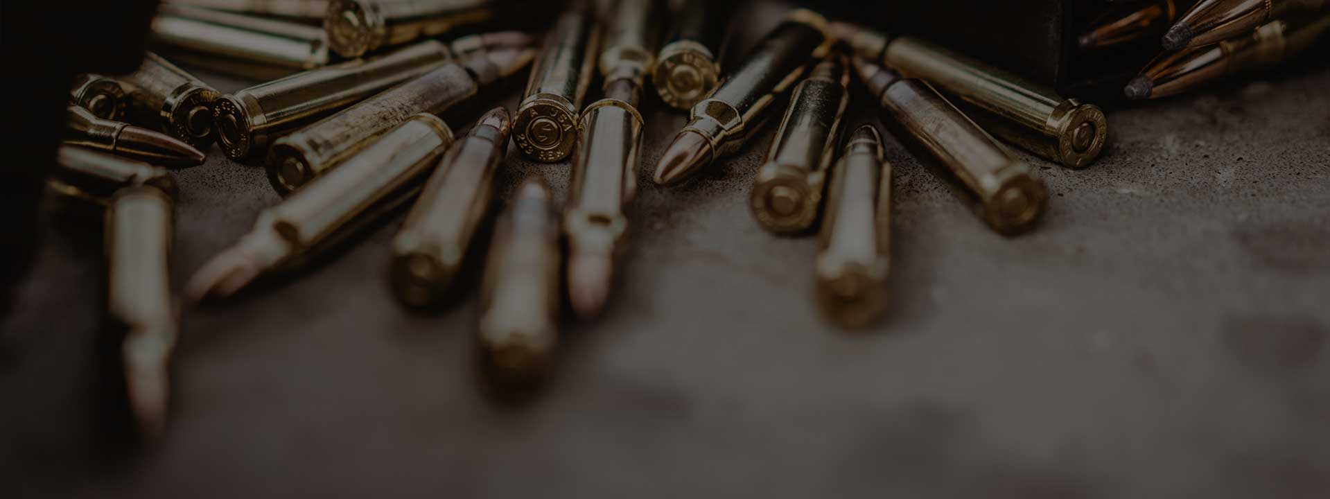 Federal Gun Exchange